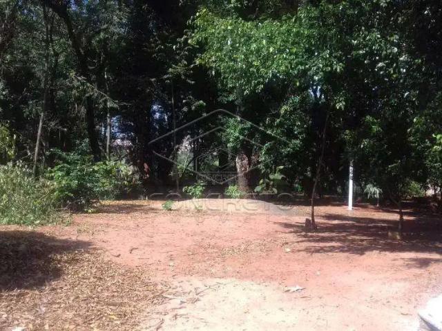 Casa / Sobrado para Venda em Bauru/SP Parque Giansante