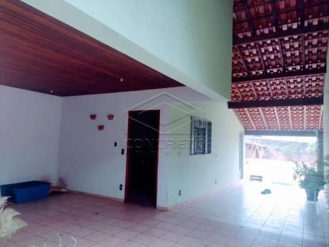 Casa / Sobrado para Venda em Bauru/SP Vila Jardim Celina 4 Quartos