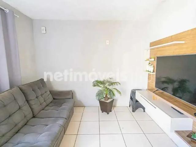 Casa / Sobrado para Venda em Belo Horizonte/MG Conjunto Celso Machado 7 Quartos