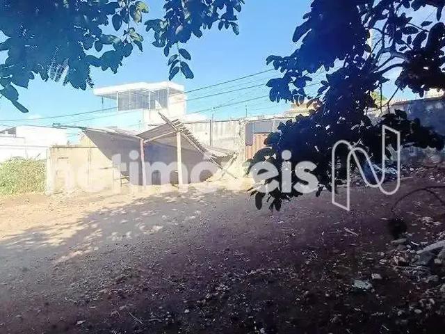 Casa / Sobrado para Venda em Belo Horizonte/MG Flávio Marques Lisboa 2 Quartos