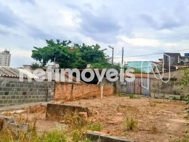Casa / Sobrado para Venda em Belo Horizonte/MG Horto Florestal