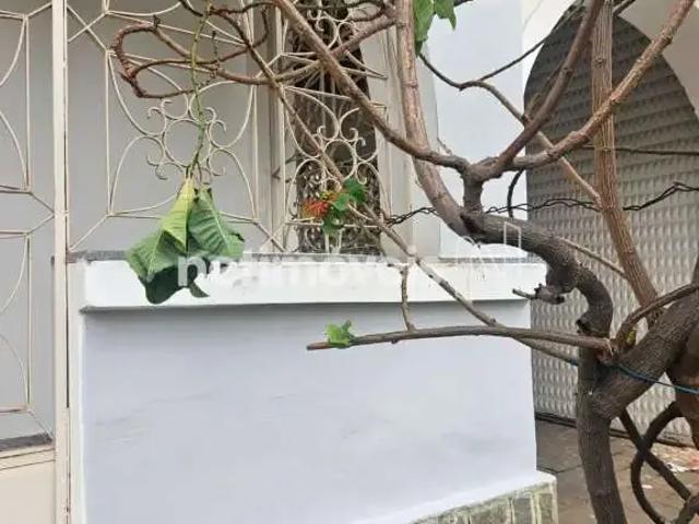Casa / Sobrado para Venda em Belo Horizonte/MG Padre Eustáquio 3 Quartos