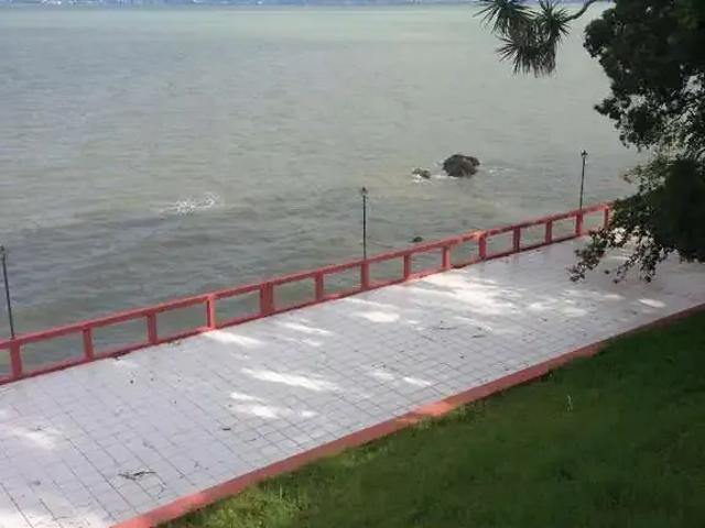 Casa / Sobrado para Venda em Biguaçu/SC Morro da Bina 31 Quartos