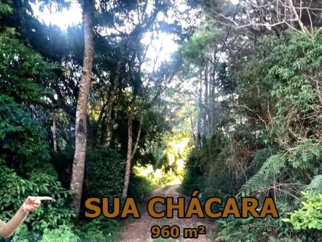 Casa / Sobrado para Venda em Bocaiúva do Sul/PR Centro