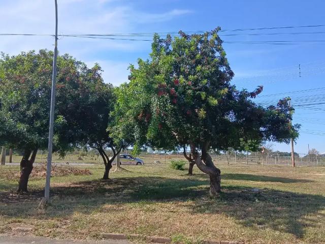 Casa / Sobrado para Venda em Brasília/DF Setor Oeste Gama 5 Quartos