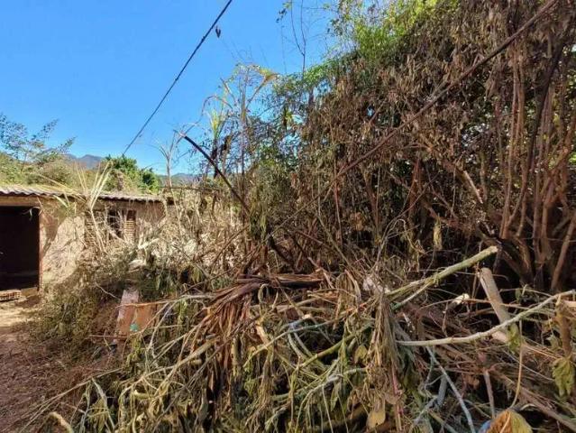 Casa / Sobrado para Venda em Brumadinho/MG Cohab 3 Quartos