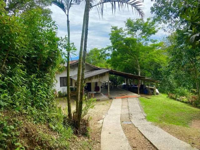 Casa / Sobrado para Venda em Brusque/SC Cerâmica Reis 2 Quartos
