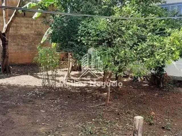 Casa / Sobrado para Venda em Campinas/SP Jardim Primavera 4 Quartos