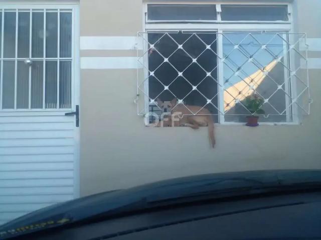Casa / Sobrado para Venda em Campinas/SP Jardim São Judas Tadeu 2 Quartos
