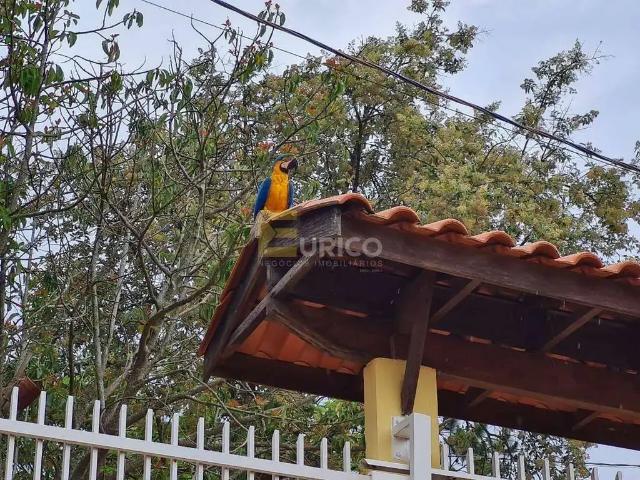 Casa / Sobrado para Venda em Campinas/SP Sousas 3 Quartos