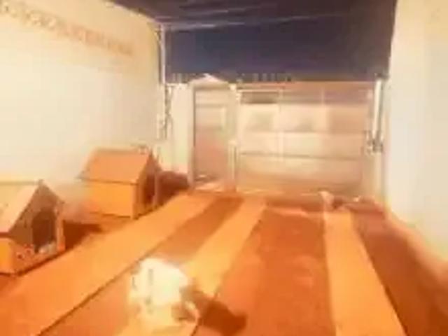 Casa / Sobrado para Venda em Campo Grande/MS Residencial Búzios