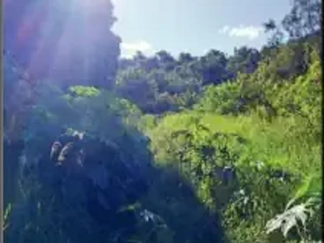 Casa / Sobrado para Venda em Campo Mourão/PR Jardim Alvorada