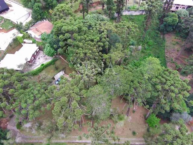 Casa / Sobrado para Venda em Campos do Jordão/SP Jardim Embaixador 4 Quartos
