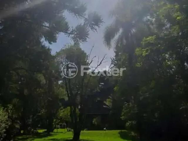 Casa / Sobrado para Venda em Canela/RS Vila Luiza 7 Quartos