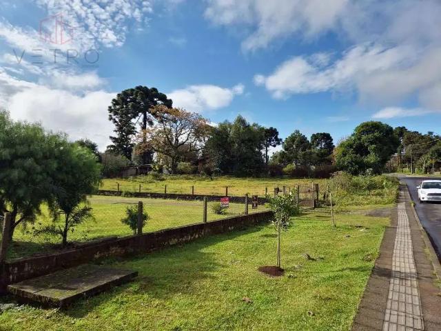 Casa / Sobrado para Venda em Canela/RS Canelinha 4 Quartos
