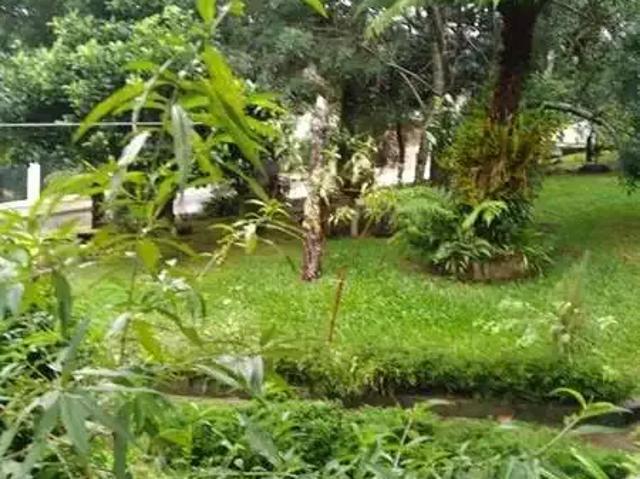 Casa / Sobrado para Venda em Canela/RS Santa Terezinha 3 Quartos