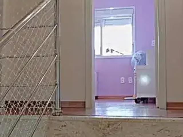Casa / Sobrado para Venda em Canoas/RS Moinhos De Vento 5 Quartos
