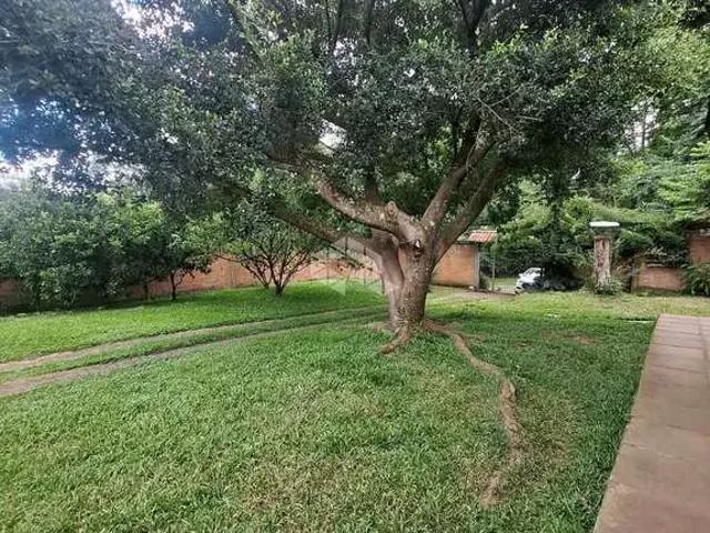 Casa / Sobrado para Venda em Caxias do Sul/RS Pedancino 3 Quartos