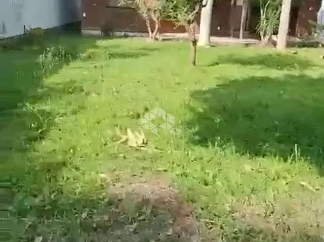 Casa / Sobrado para Venda em Florianópolis/SC Barra da Lagoa 2 Quartos