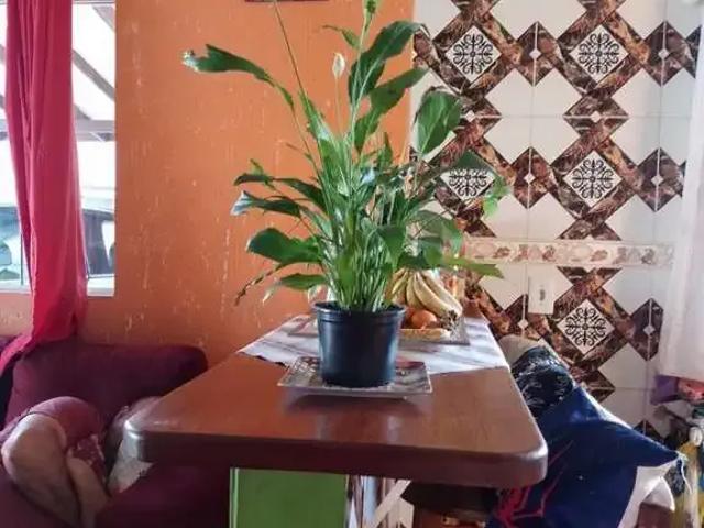 Casa / Sobrado para Venda em Florianópolis/SC São João do Rio Vermelho 2 Quartos