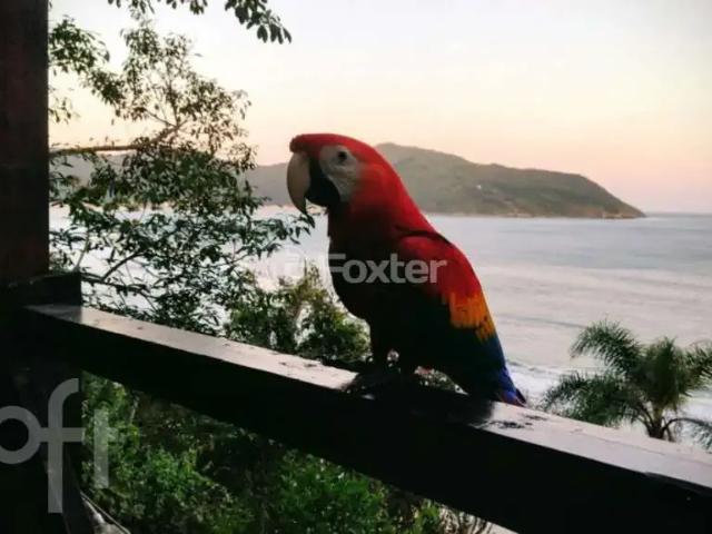 Casa / Sobrado para Venda em Florianópolis/SC Pântano do Sul 1 Quartos