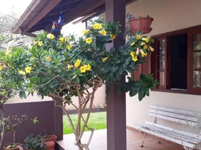 Casa / Sobrado para Venda em Florianópolis/SC Rio Tavares 4 Quartos