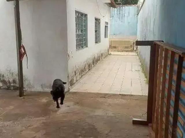 Casa / Sobrado para Venda em Franca/SP Jardim São Luiz II 2 Quartos
