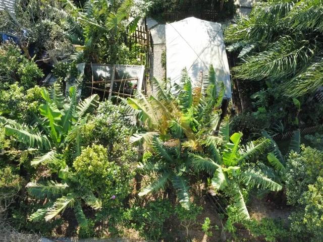 Casa / Sobrado para Venda em Garopaba/SC Campo Duna 3 Quartos