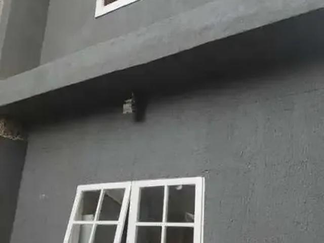 Casa / Sobrado para Venda em Guarulhos/SP Vila Nova Bonsucesso 4 Quartos