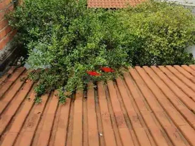 Casa / Sobrado para Venda em Guarulhos/SP Jardim Jacy 3 Quartos