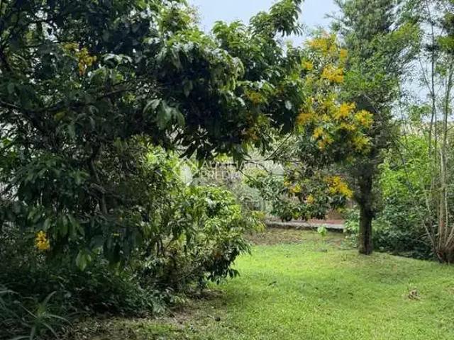 Casa / Sobrado para Venda em Imbituba/SC Ibiraquera 4 Quartos