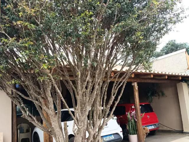 Casa / Sobrado para Venda em Itatiaiuçu/MG Centro 2 Quartos