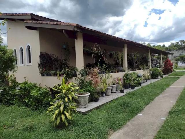 Casa / Sobrado para Venda em Itanhaém/SP Jardim Umuarama 2 Quartos