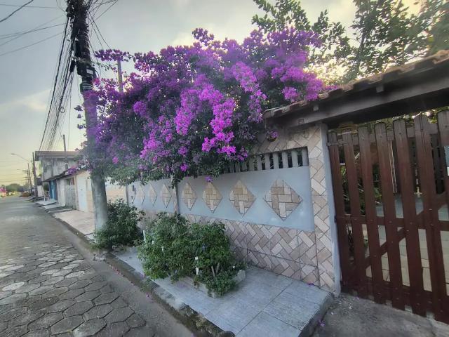 Casa / Sobrado para Venda em Itanhaém/SP Jardim Grandesp 2 Quartos