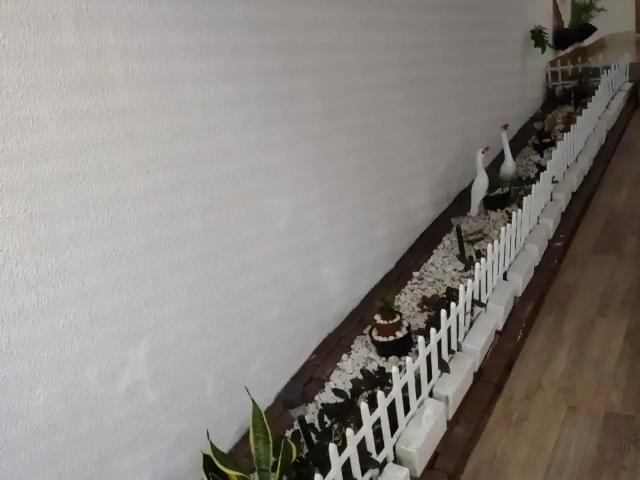 Casa / Sobrado para Venda em Joinville/SC Bom Retiro 2 Quartos