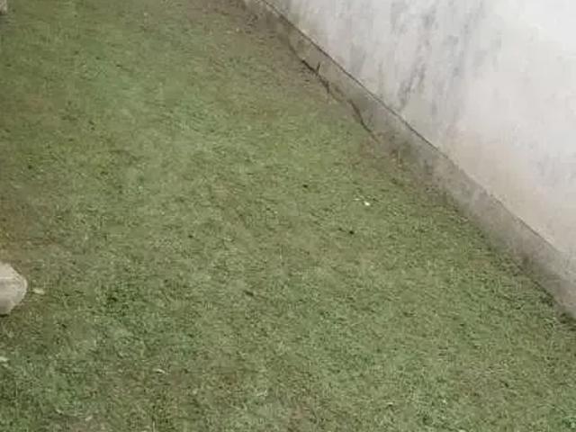Casa / Sobrado para Venda em Joinville/SC Paranaguamirim 3 Quartos