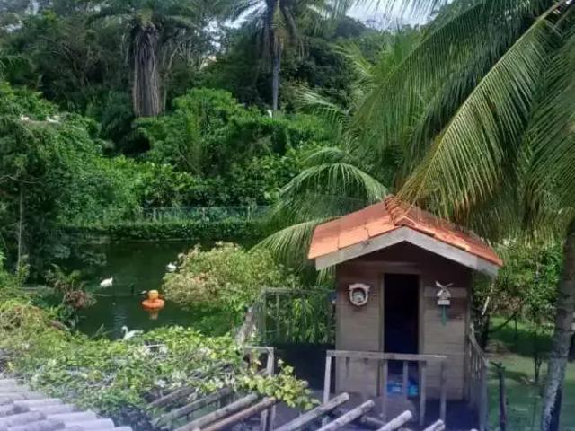 Casa / Sobrado para Venda em Lauro de Freitas/BA Vilas do Atlantico 6 Quartos
