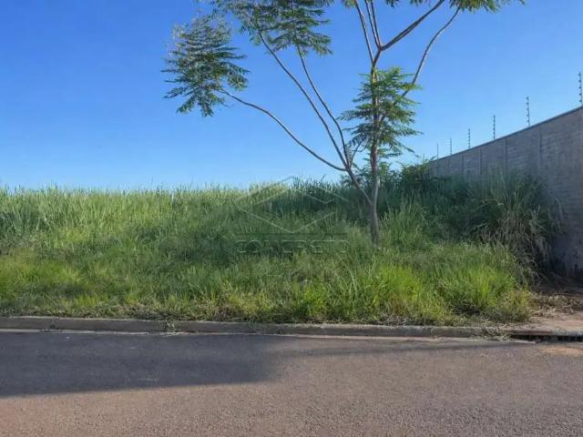 Casa / Sobrado para Venda em Lençóis Paulista/SP Residencial Villacittá