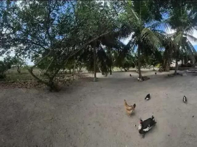 Casa / Sobrado para Venda em Macaíba/RN Centro 2 Quartos