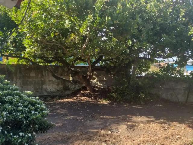Casa / Sobrado para Venda em Maceió/AL Tabuleiro do Martins 3 Quartos