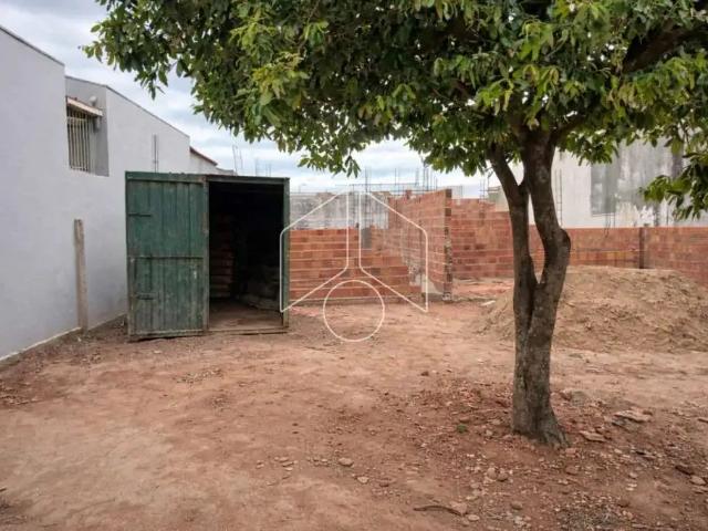 Casa / Sobrado para Venda em Marília/SP Bassan 3 Quartos