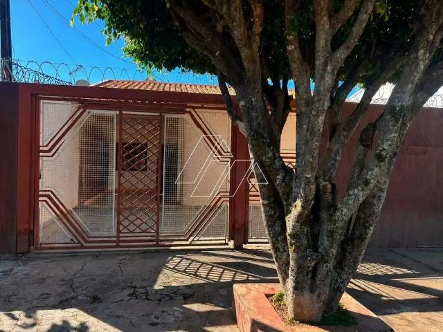 Casa / Sobrado para Venda em Marília/SP Padre Nóbrega 3 Quartos