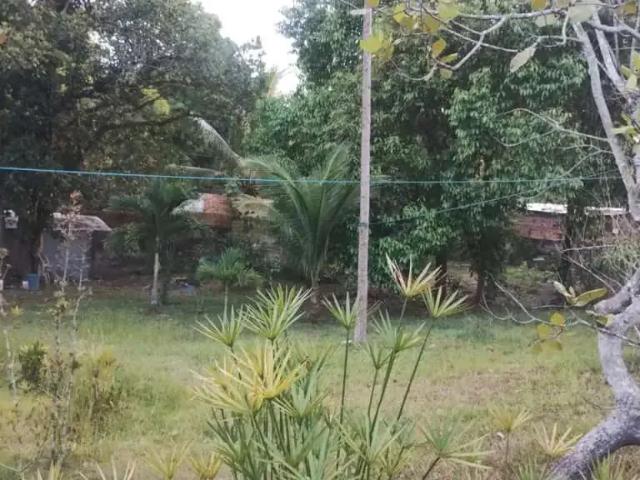 Casa / Sobrado para Venda em Mata de São João/BA Centro 5 Quartos