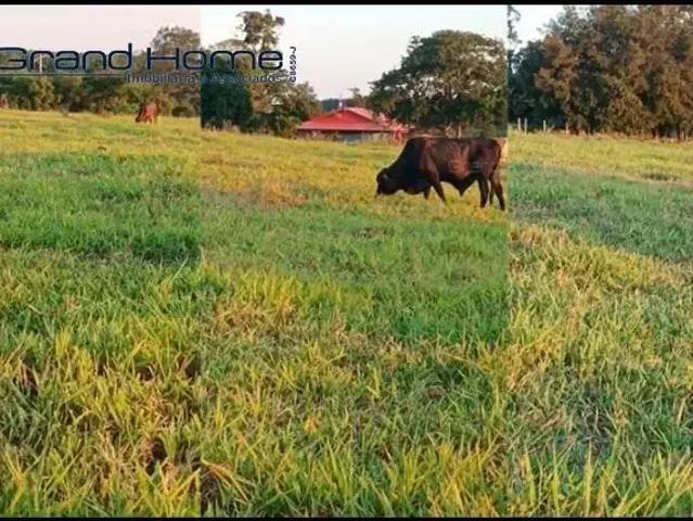 Casa / Sobrado para Venda em Montanha/ES Vinhático 3 Quartos