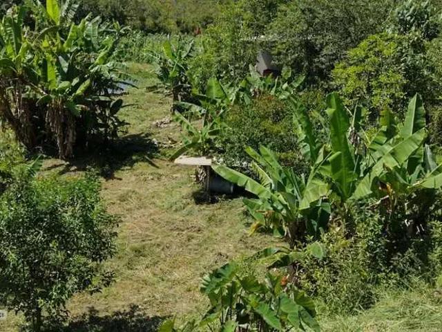 Casa / Sobrado para Venda em Natividade da Serra/SP Pachi 3 Quartos