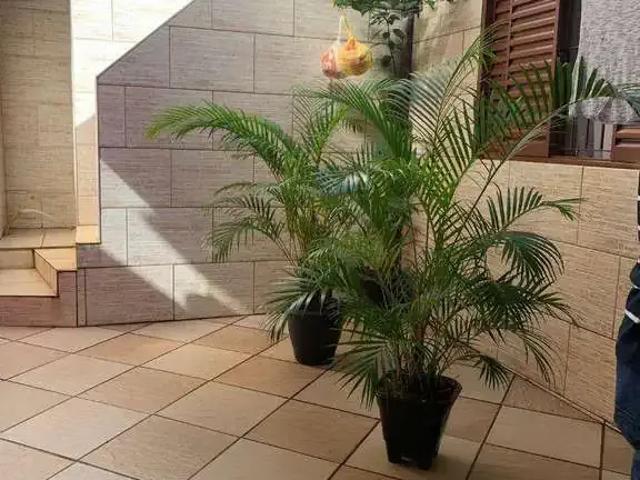 Casa / Sobrado para Venda em Nova Odessa/SP Jardim Santa Rosa 2 Quartos