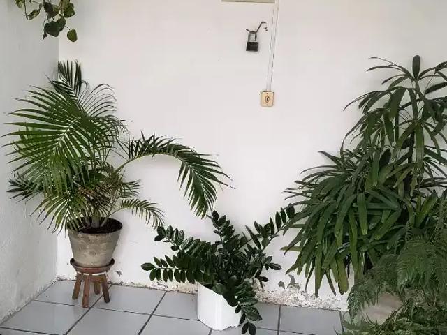 Casa / Sobrado para Venda em Olinda/PE Rio Doce 4 Quartos