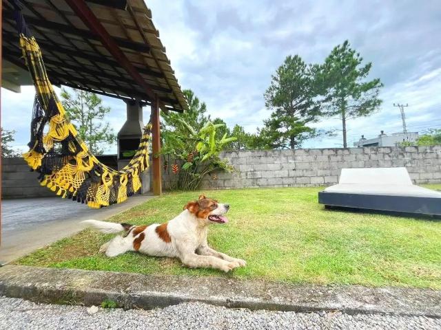 Casa / Sobrado para Venda em Palhoça/SC Pinheira 3 Quartos