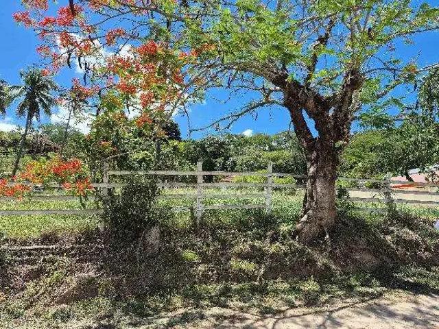 Casa / Sobrado para Venda em Paraíba do Sul/RJ Centro 3 Quartos