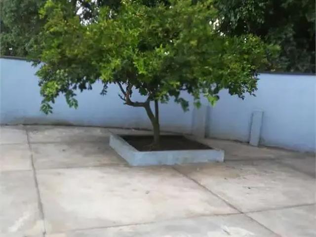 Casa / Sobrado para Venda em Peruíbe/SP Jardim Itatins 3 Quartos